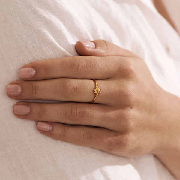 Seashell Ring Gold - Midsummer Star Wholesale